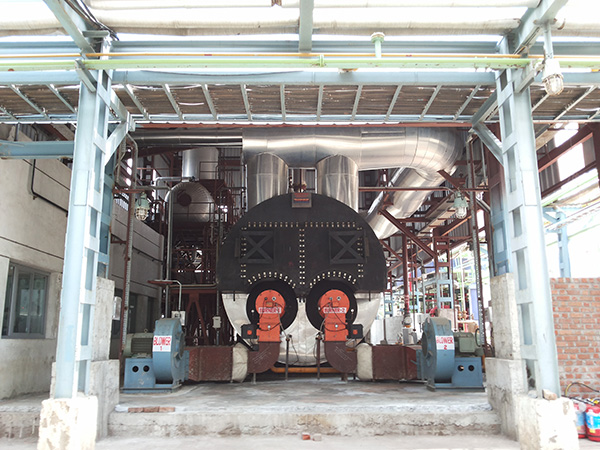 Natural Gas Fired Boiler Manufacturers in India | TESPL